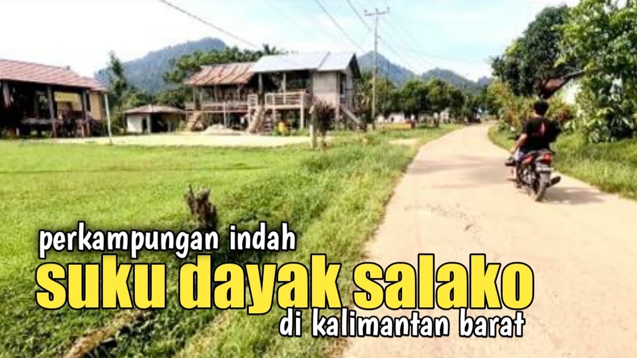 Suasana asri kampung Dayak salako Airnya jernih dan melimpah - YouTube