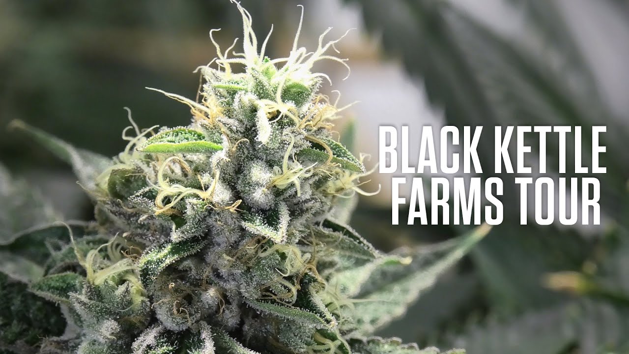 Touring Black Kettle Farms - YouTube