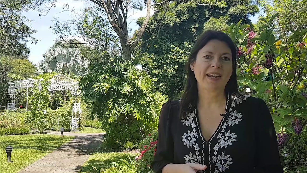 Sandra Elena, experta sobre justicia abierta - YouTube