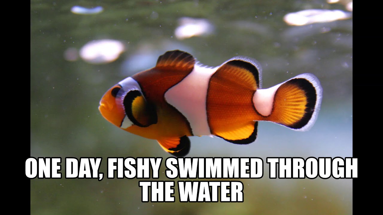 FISHY THE FISH - YouTube