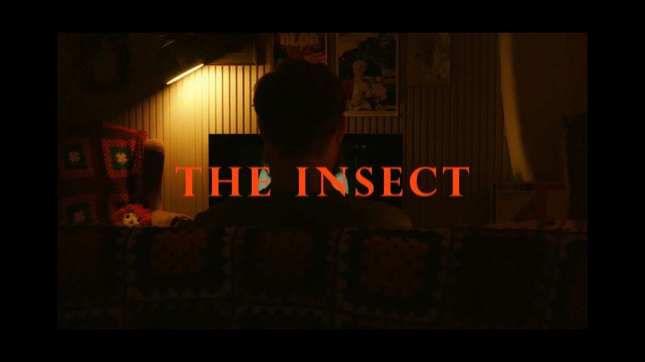 The Insect - Short Film - YouTube