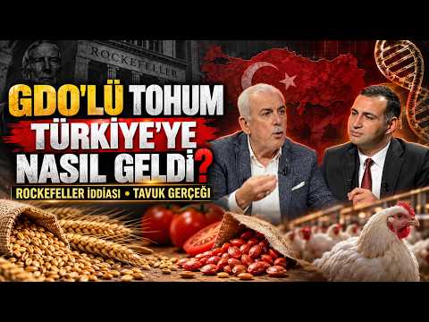 GDO’lu Tohum Türkiye’ye Nasıl Geldi? Rockefeller İddiası ve Tavuk Gerçeği