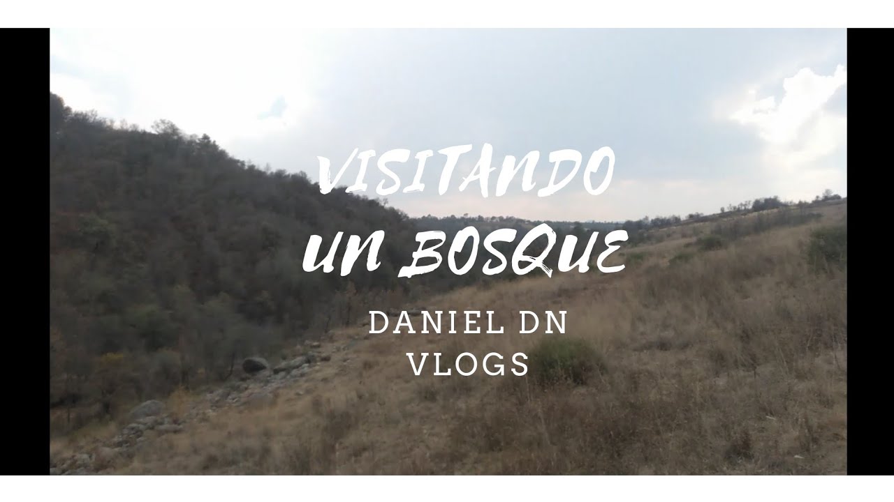 Visitando un bosque - Daniel DN Vlogs - YouTube