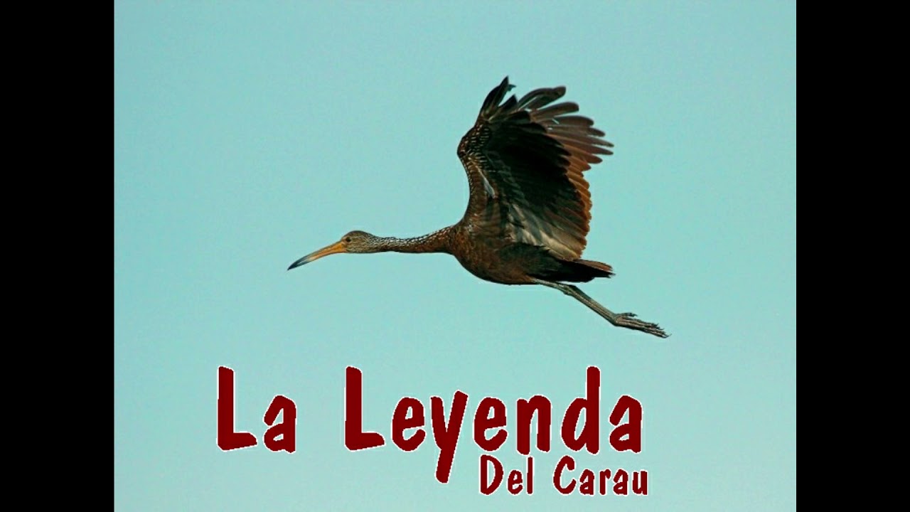 La Leyenda Del Carau - Capitulo 1 - YouTube