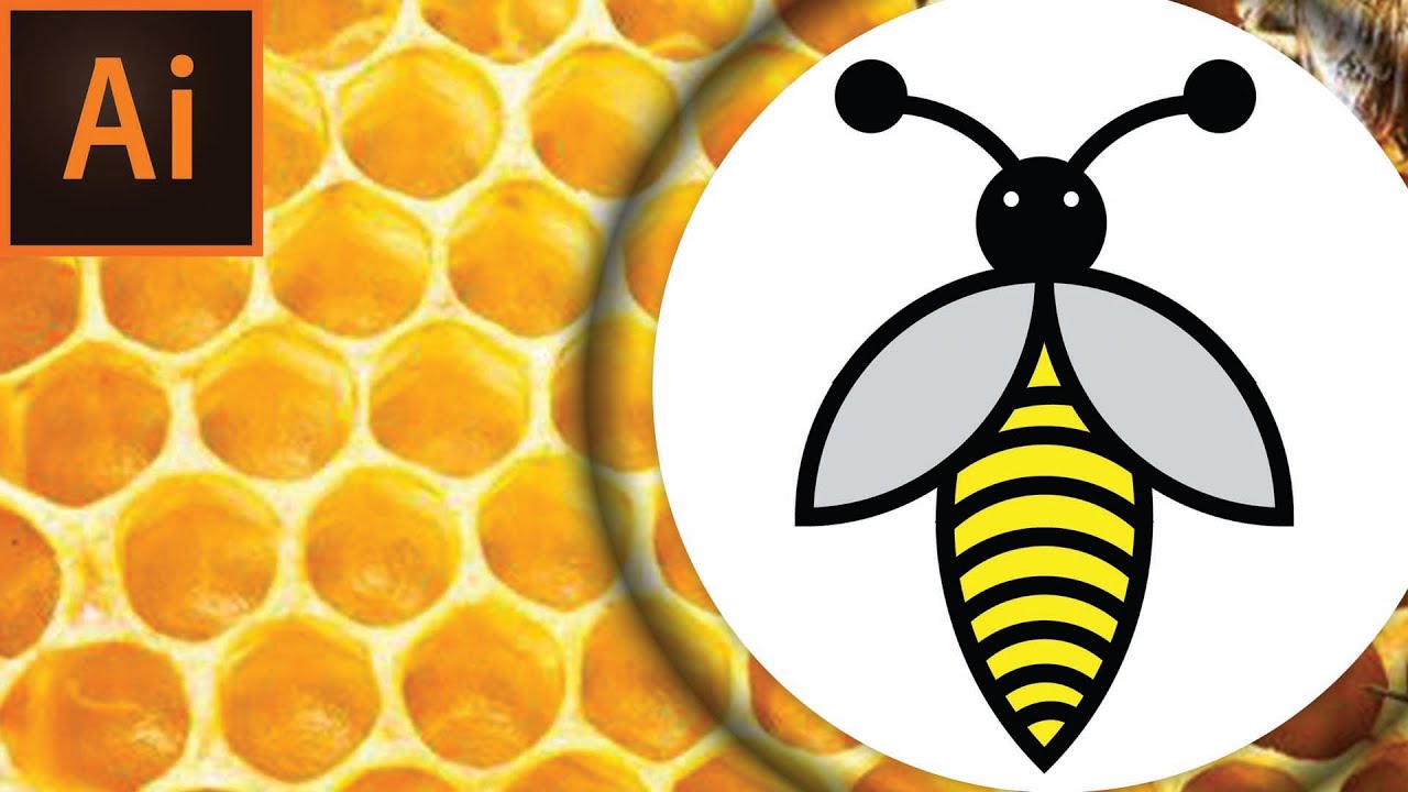 Create a Bee Illustration in Adobe Illustrator - YouTube