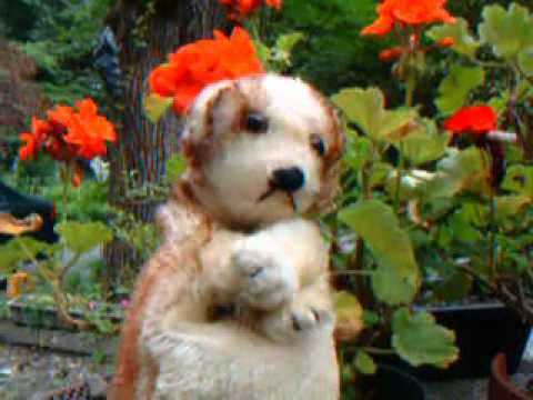 Steiff Molly Puppet Speaks - YouTube