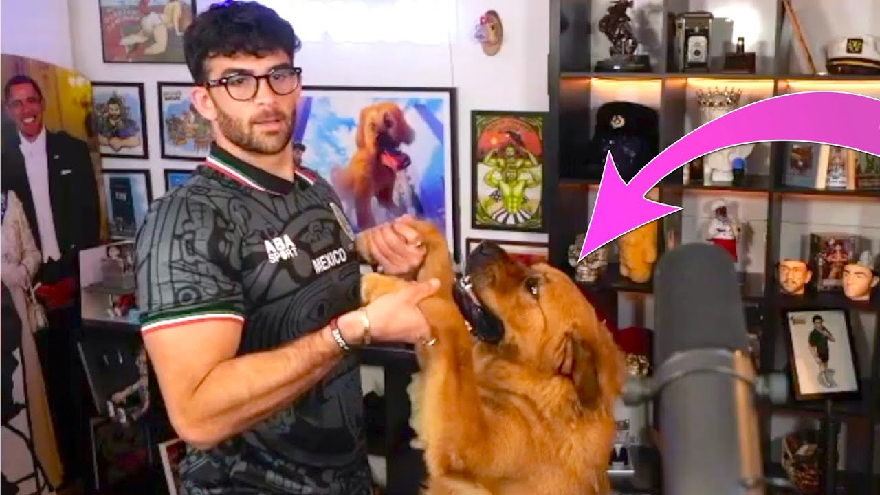Hasan Shows Off His Giant Dog | HasanAbi Reacts - YouTube