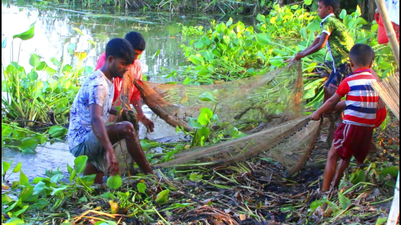 How to Catch Fish by Net With Beautiful Natural - YouTube