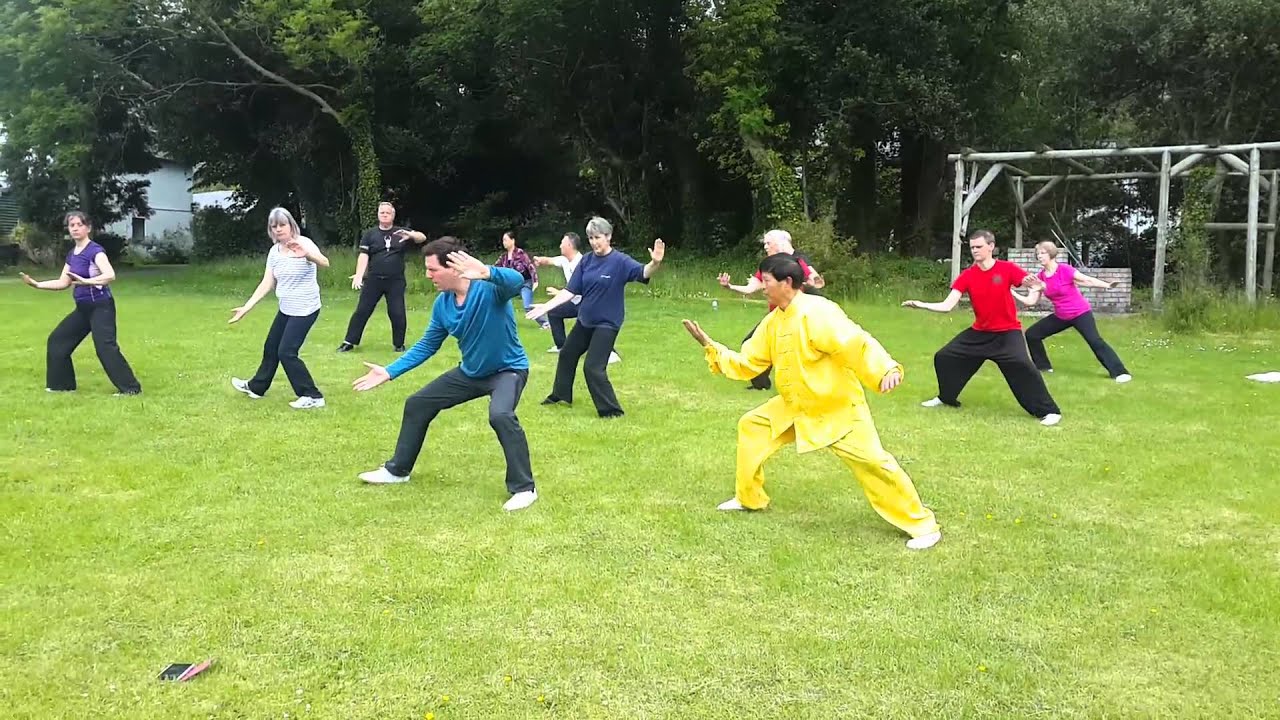 Tai Chi Laojia Yilu with Master Li Shou Ming - Trigonos, Snowdonia ...