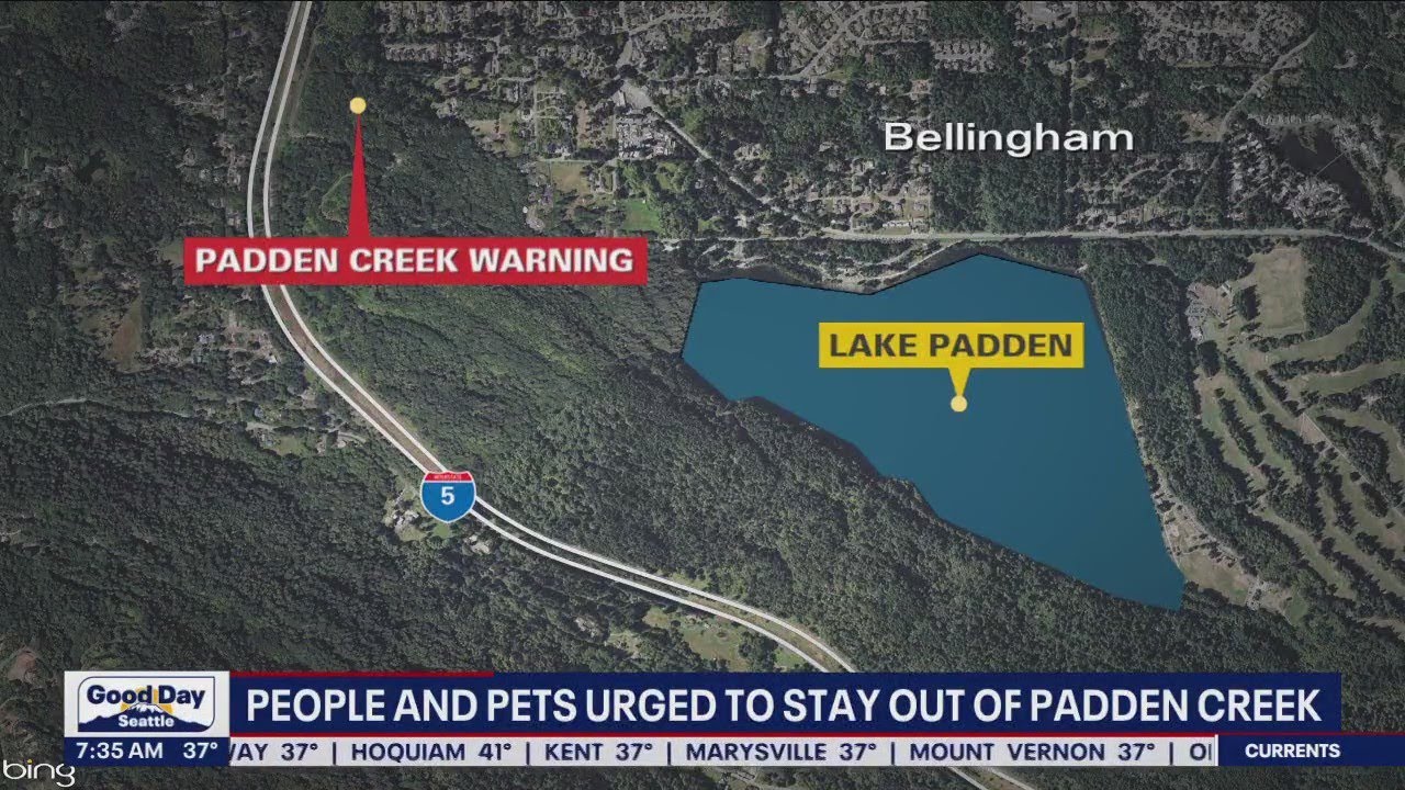 People urged to stay out of Padden Creek after it turned green | FOX 13 ...