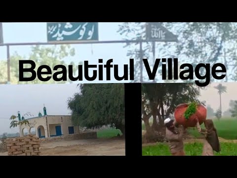 Beautiful village loco shed samma satta //ddyal ka gaou/Aysha with ...