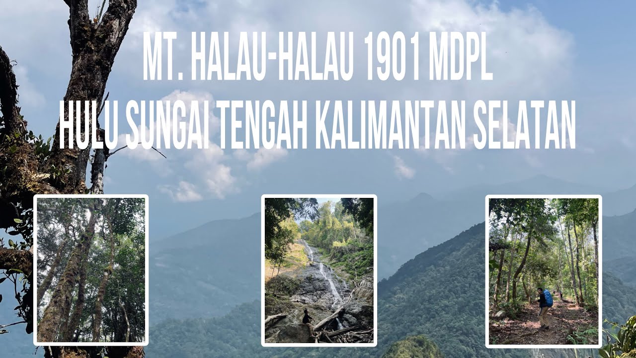 ATAP KALIMANTAN SELATAN MT. HALAU HALAU 1901 MDPL ,Bagian-1 - YouTube