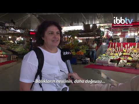 Balık Sezonu Açıldı
