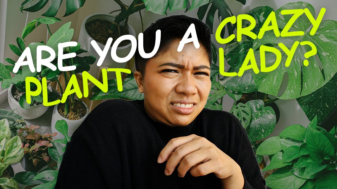 Are you a CRINGEY plant lady? | 11 signs you are CRAZY about plants ...