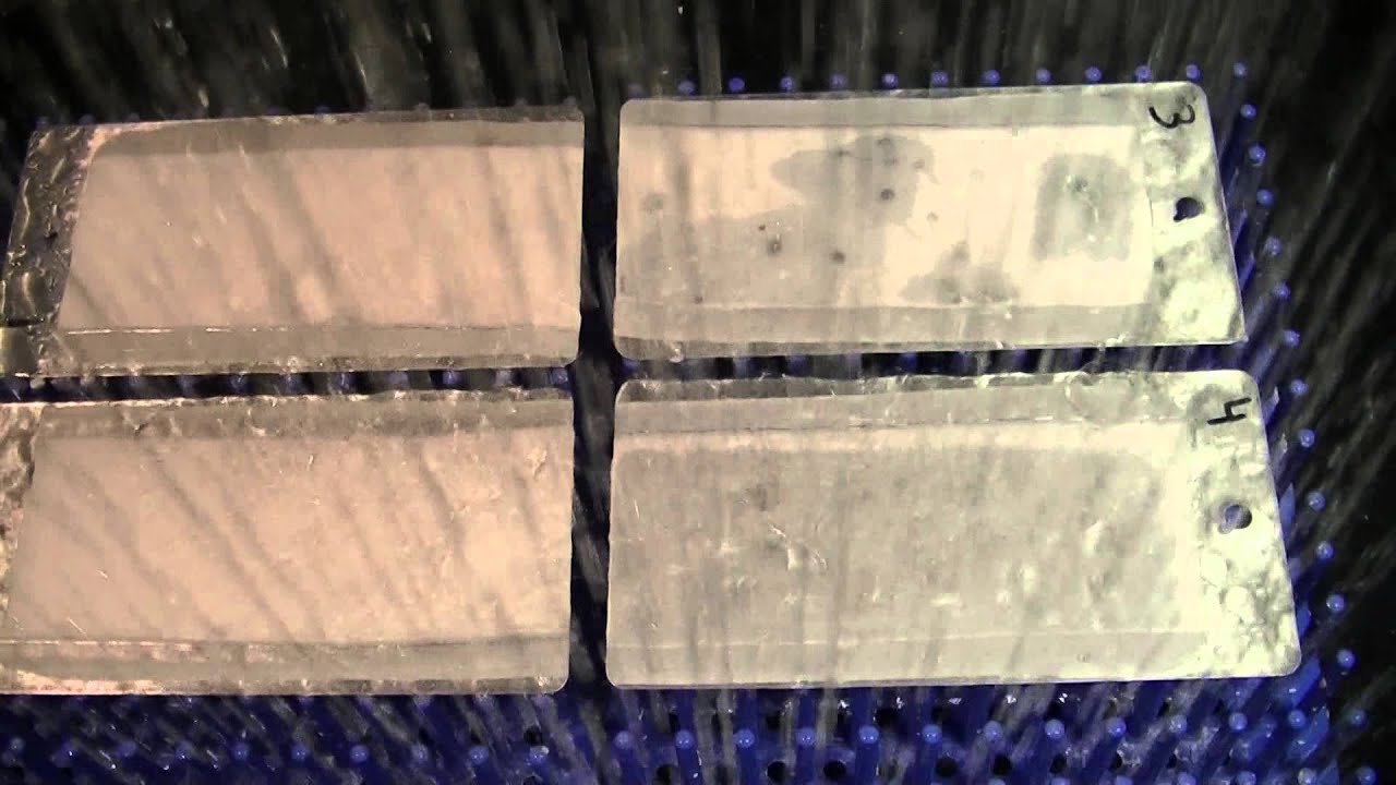 BASF Early Rain Resistance Shower Test - YouTube