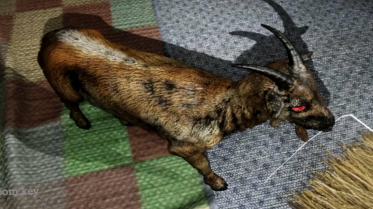 These goats are cute (Devour) - YouTube