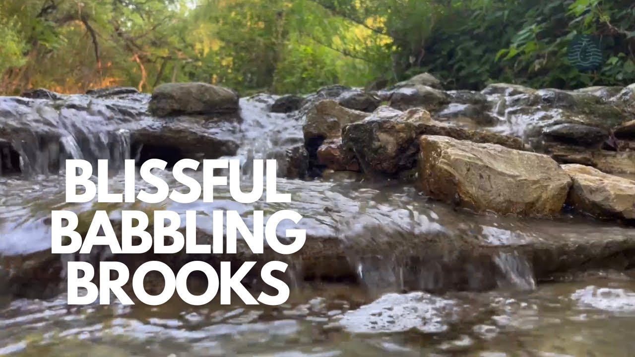 Blissful Babbling Brooks Sounds (4 hours), for Study, Sleep, Reduce ...