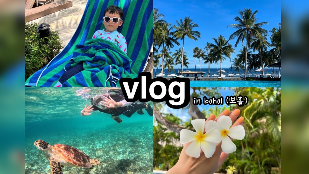 5세 아이와 함께 수영하고 맛집가고 마사지 받고 꿀 휴가 보낸 보홀 여행브이로그🌴 발리카삭 투어 여기가혹시천국 🫢 ️ Youtube