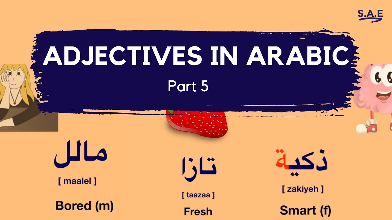 Adjectives | Part 5 | Levantine Arabic | Simple and Easy Arabic - YouTube
