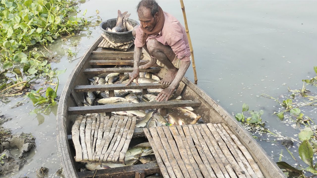 Amazing hand fishing video |Traditional fisher catching fish by hand ...