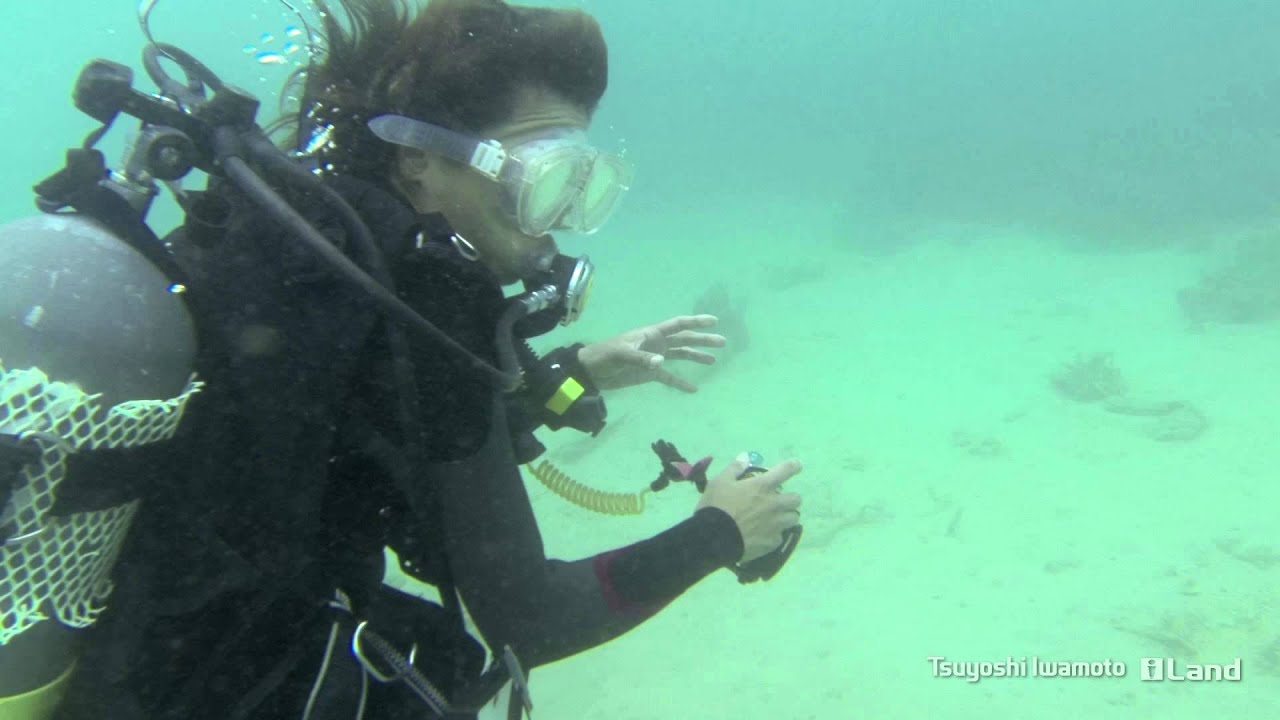 First Scuba Diving - YouTube