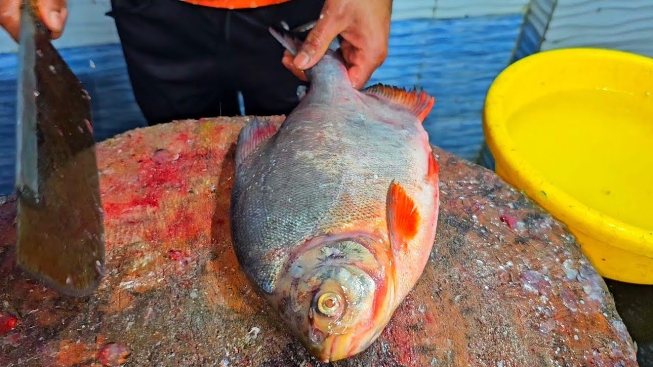 Fish cutting skills!! sagar fish hoodi Bangalore - YouTube