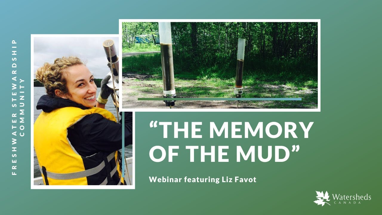 "The Memory of the Mud" webinar with Liz Favot, PhD - YouTube