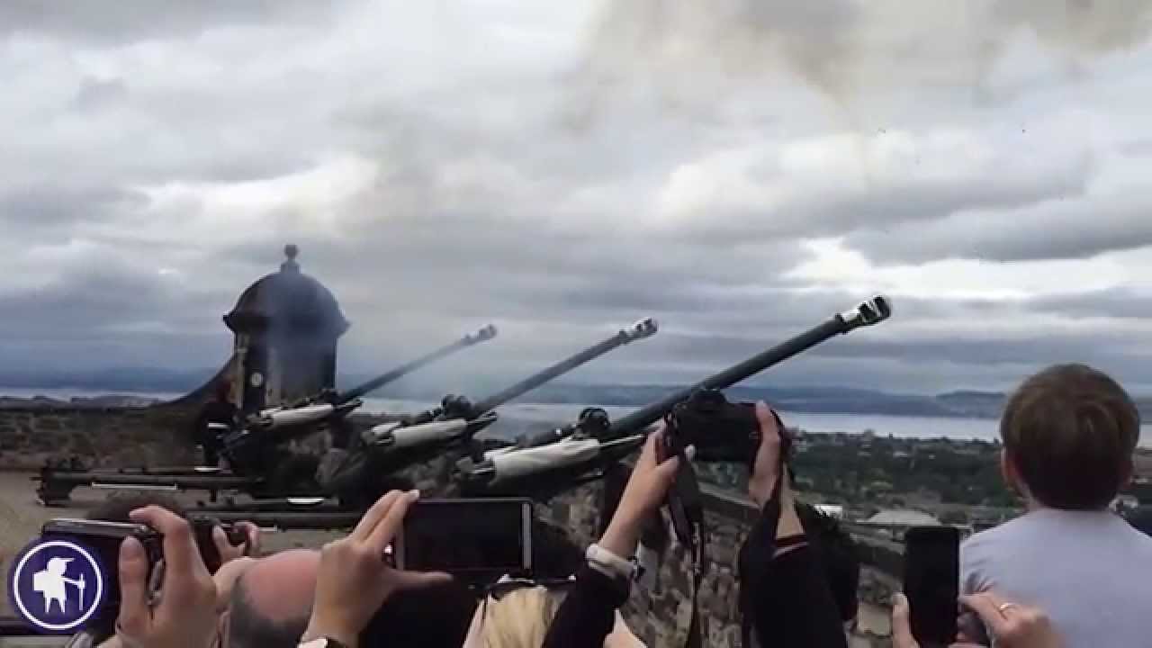 Seagull Shot By A Cannon - YouTube