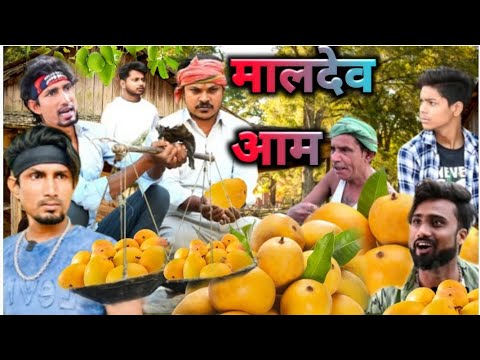 Mani Meraj Ke Maaldev Aam | मनी मेराज के मालदेव आम | Mani Meraj Vines ...