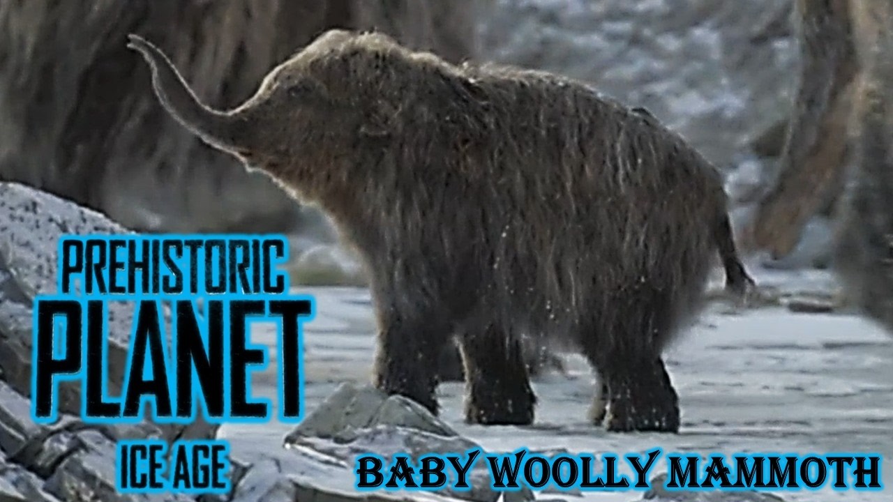 prehistoric Planet Ice age baby woolly mammoth screen time - YouTube