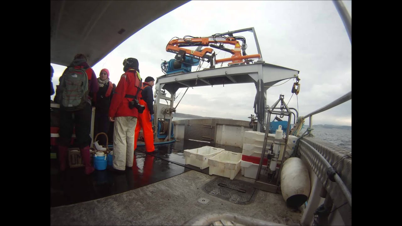Sampling with an epibenthic sled (Clyde Sea, Scotland) - YouTube