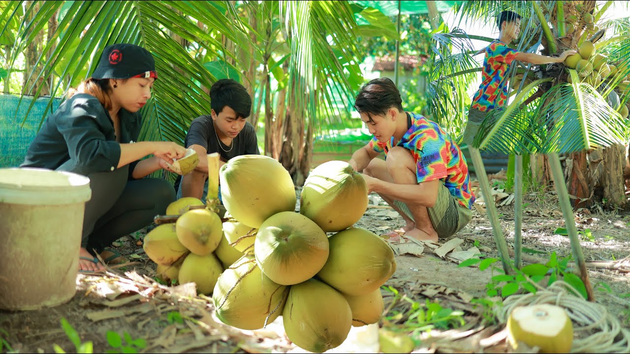 No Sugar Coconut Drinking | Pick Coconut and make Drinking then Cook ...