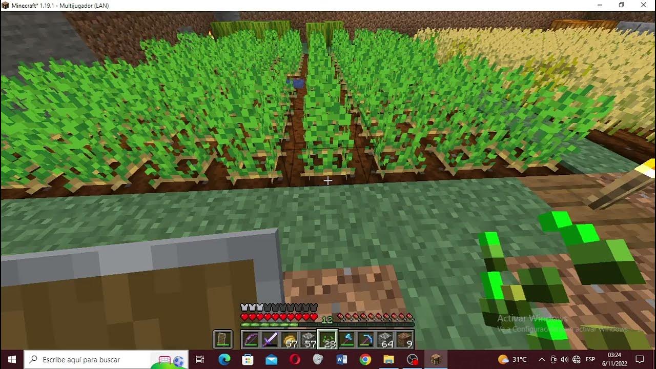 #24.Zona De Zanahorias. MINECRAFT JAVA - YouTube