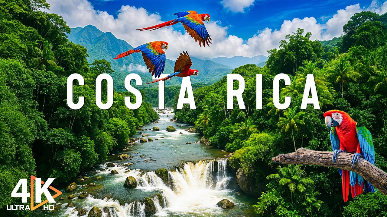 Costa Rica 4K | Exploring Costa Rica's Stunning Nature and Hidden Gems ...