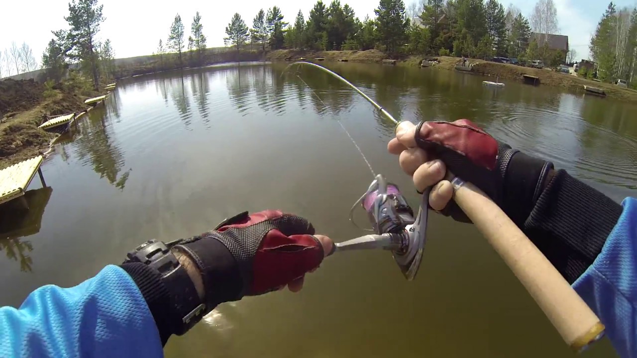 Favorite Arena и SV Fishing - YouTube