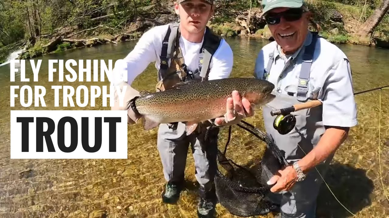 Fly fishing for Trophy Trout - YouTube