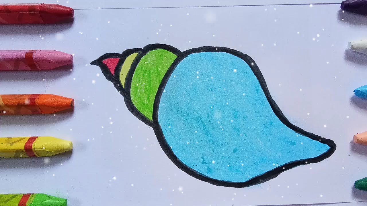 Conch shell draw, coloring for kids, toddlers ||sea shell|| 😍Kidslet's ...