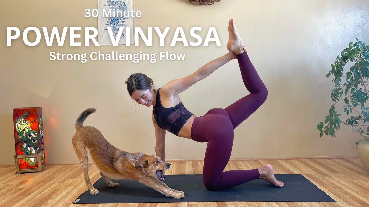 30 minute Power Vinyasa Yoga Flow \\ Core Focused Sequence for Strength ...