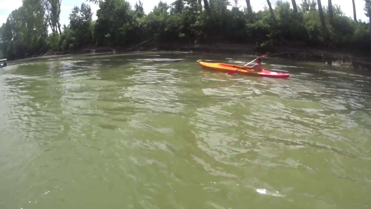 Carda Opava Tamis - YouTube