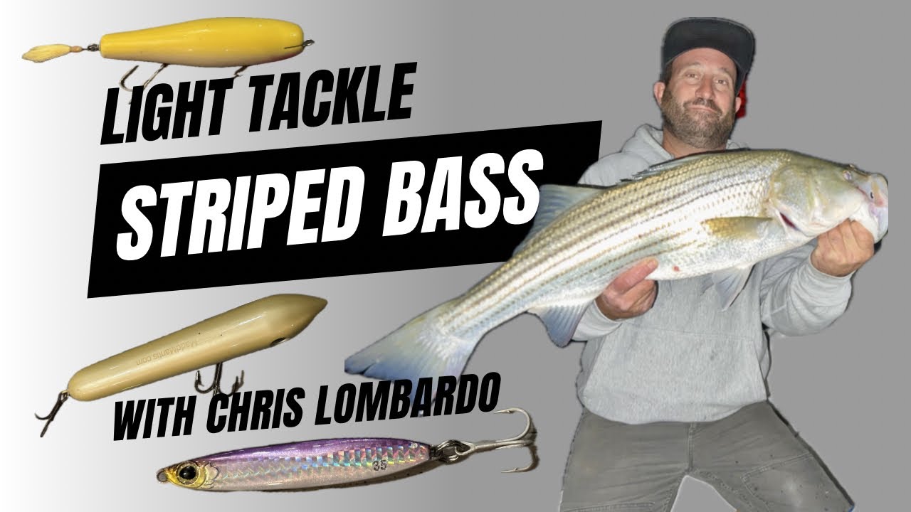 Light tackle striped bass fishing with Chris Lombardo - YouTube