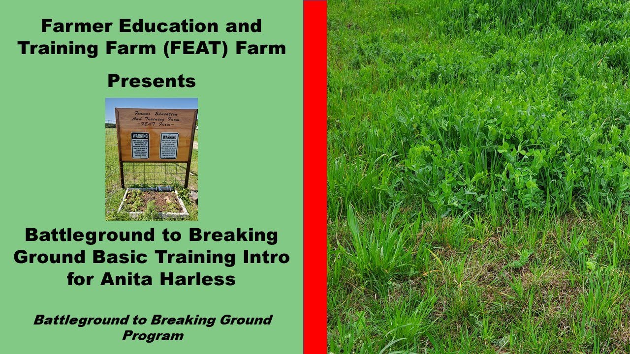 Battleground to Breaking Ground Virtual Basic Training Intro for Anita Harless - YouTube