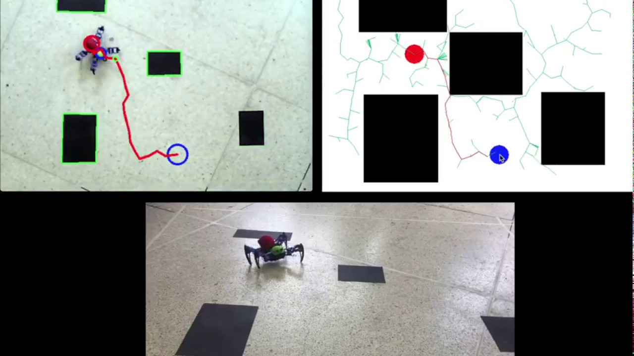 Tetrapod Robot - YouTube