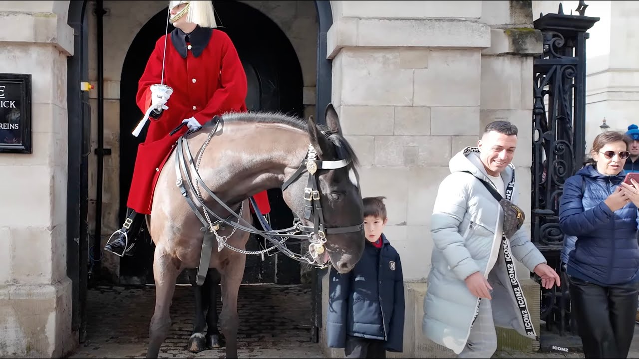 PARENT!! WATCH YOUR KID!! not TOO CLOSE to the Horse!! - YouTube