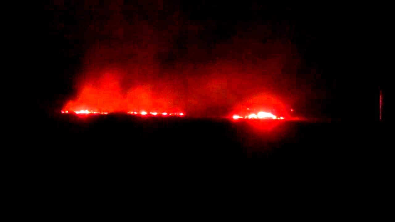 Citrus tree piles set off by arsonist in Yuma,Az Part 1 - YouTube