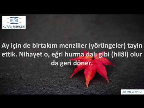 Yasin Suresi   Raad Mohammad al Kurdi   رعد محمد الكوردي   Raad al Kurdi