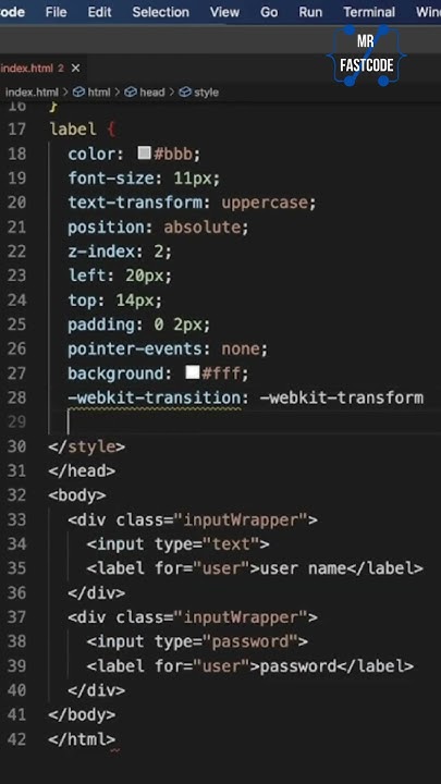 How to make Input Label Animation | HTML & CSS #shorts - YouTube