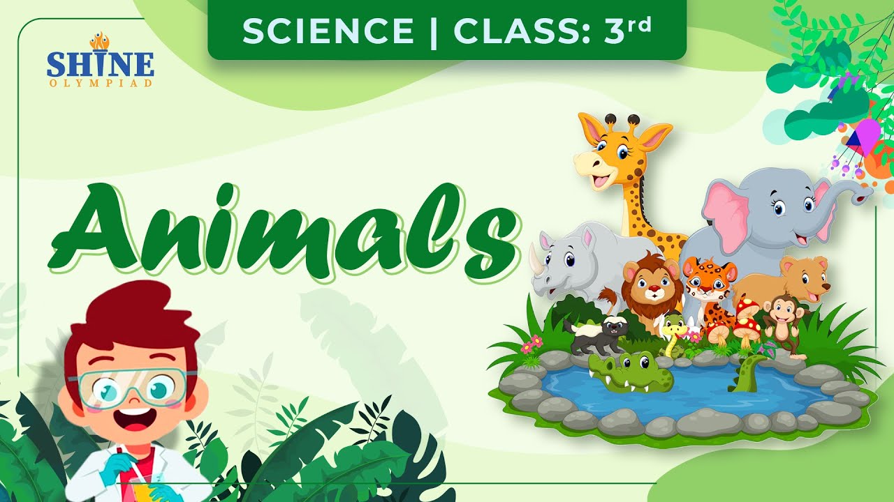 Animals, Types, Eating Habits of Animals | Science Class 3 Herbivores ...