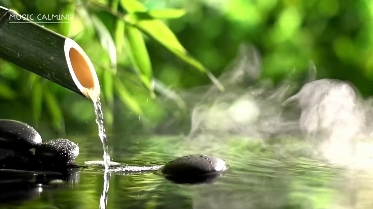 Relax and Unwind with the Tranquil Sounds of a Bamboo Fountain Water ...
