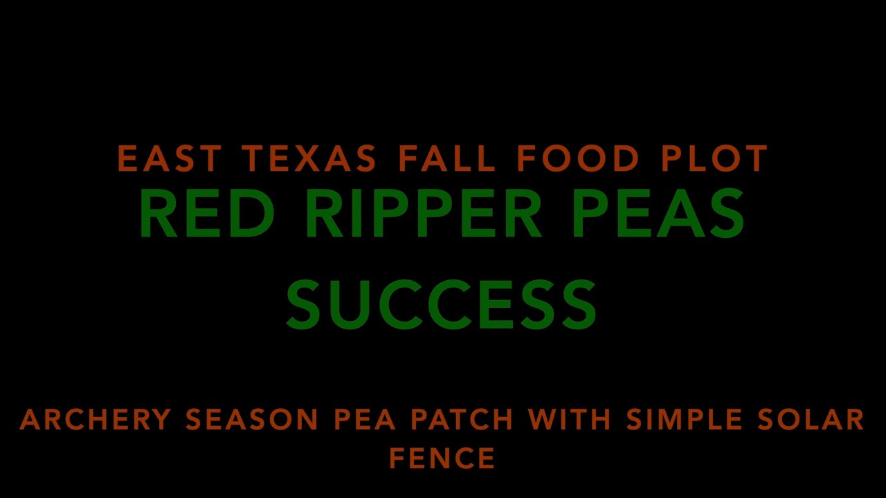 Fall Plot 1 4K - YouTube