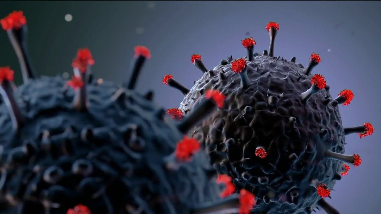 Omicron is spreading, but is Houston ready to combat the virus? - YouTube